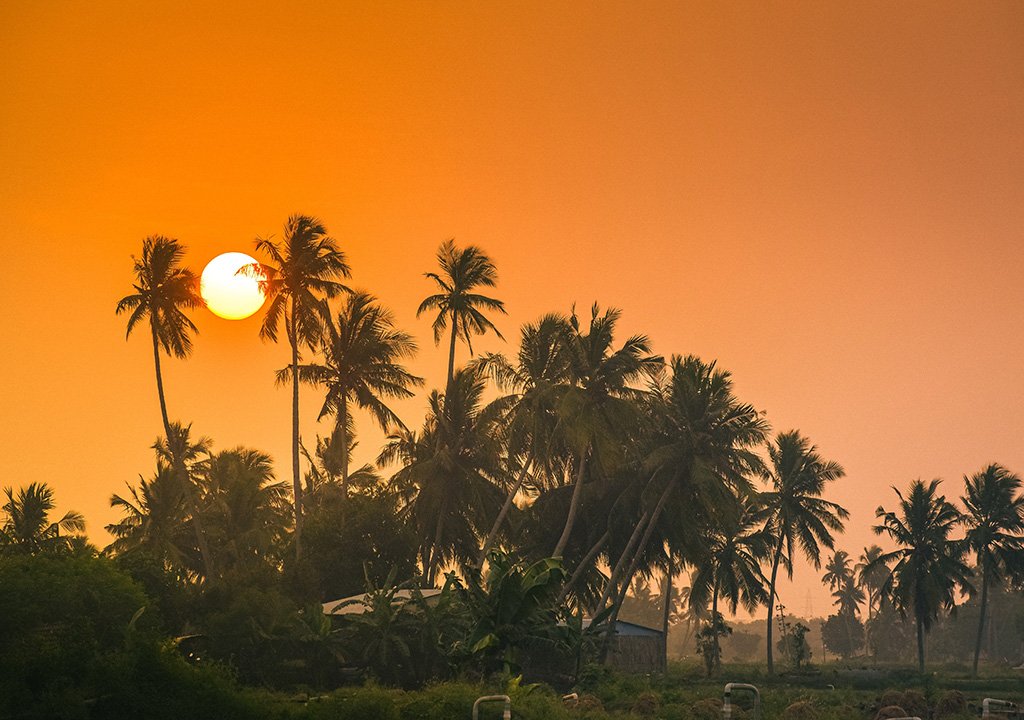 Behold Jesus the Lamb & encash your blessings! - Grace Revolution ...